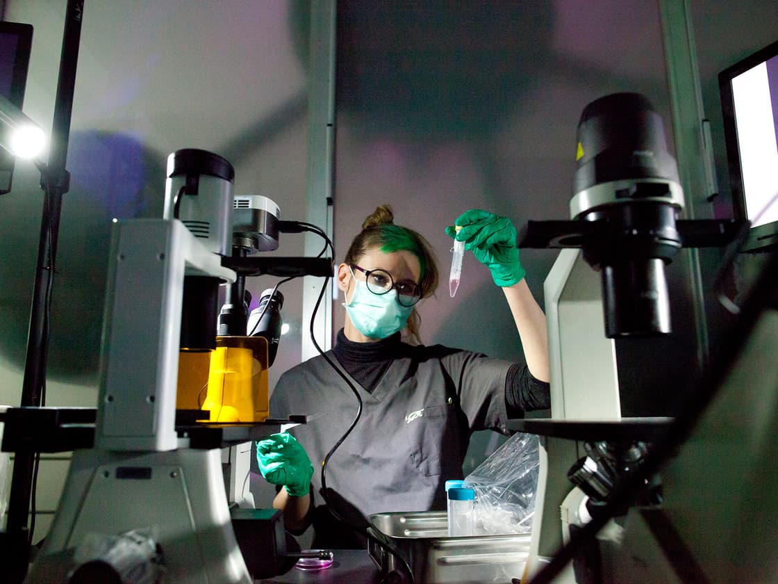 Waag | Cellular Propeller: Howard Boland, Lucas Evers