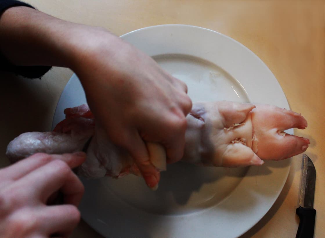 Waag | Dreaming of a microbial perfume